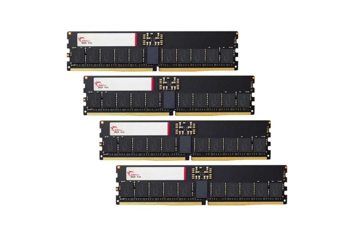 Memoria RAM G.Skill T5 Neo F5-6000R3036G48GQ4-T5N 192GB Kit 4x48GB DDR5 ...
