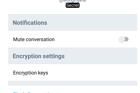 Twitter añadirá encriptado punto a punto a sus mensajes privados